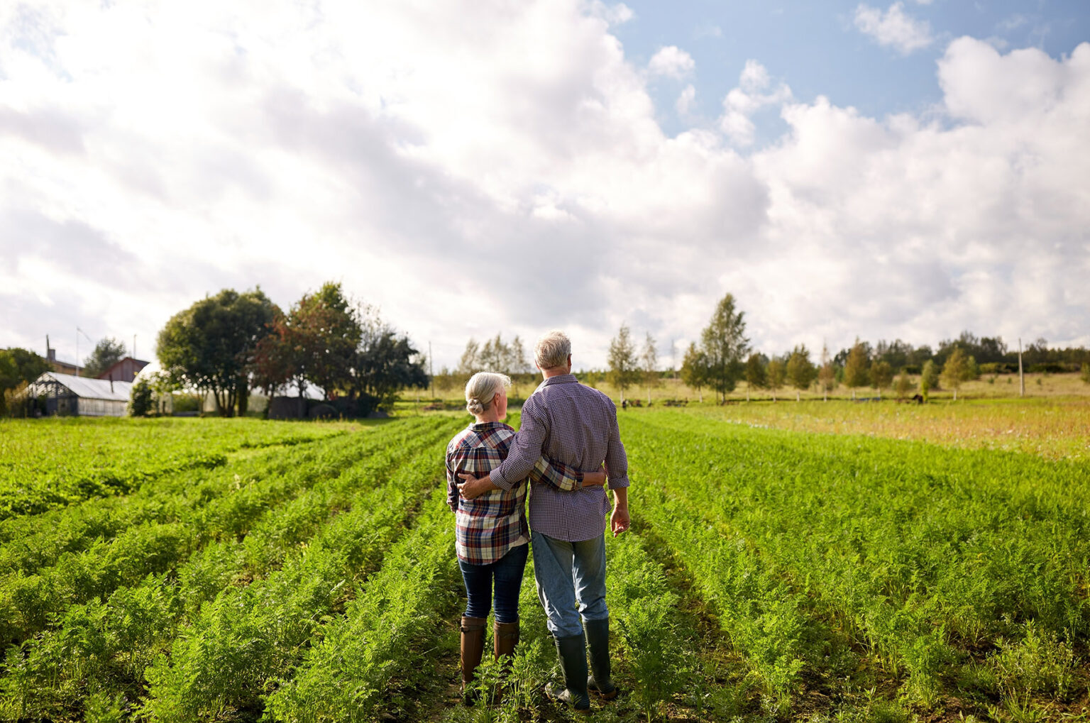 Family Farm Inheritance: Problems with Generational Farming - Countryside